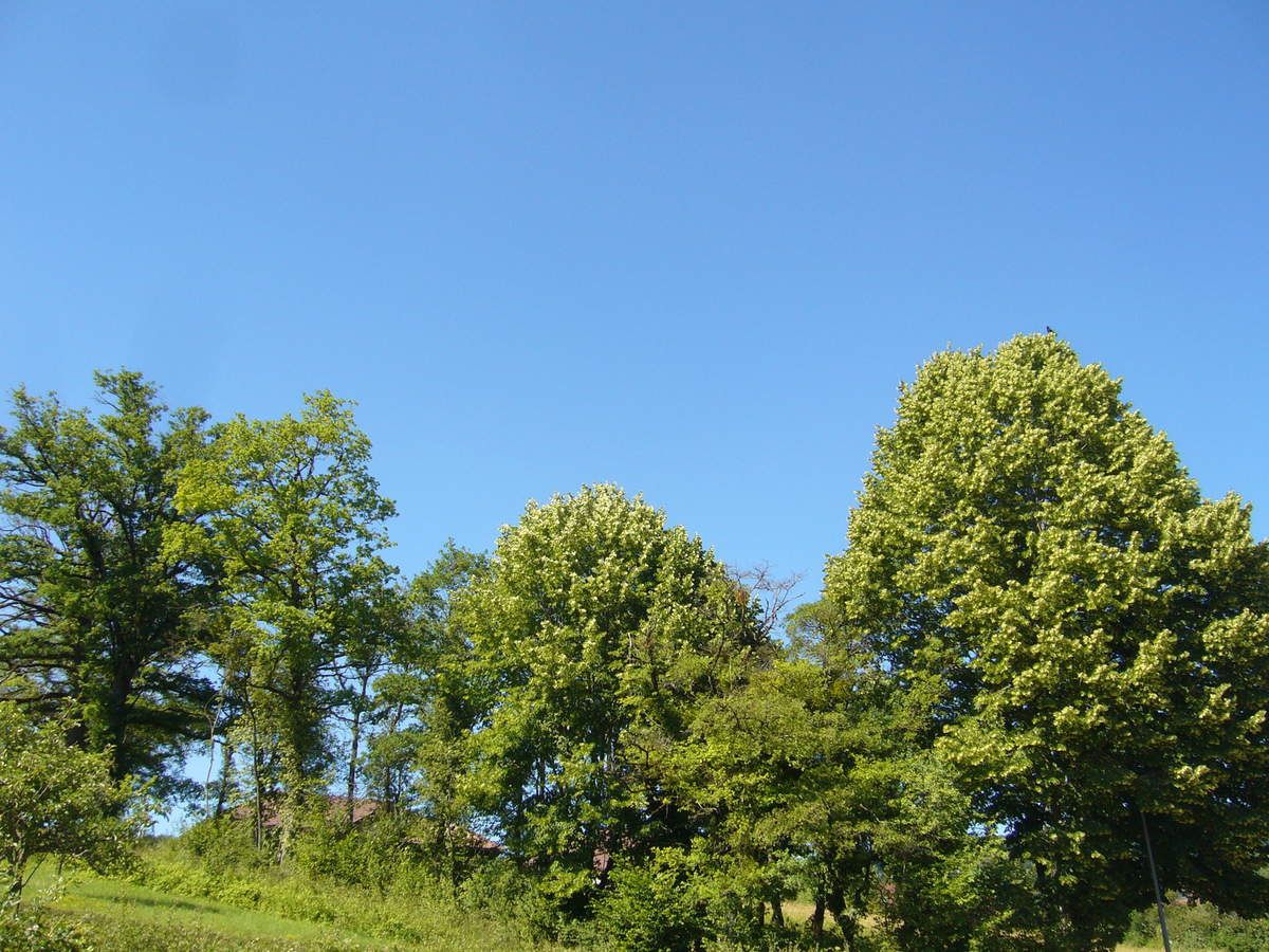 AUTOUR DE LA FÉRANDE - RANDOCOPS