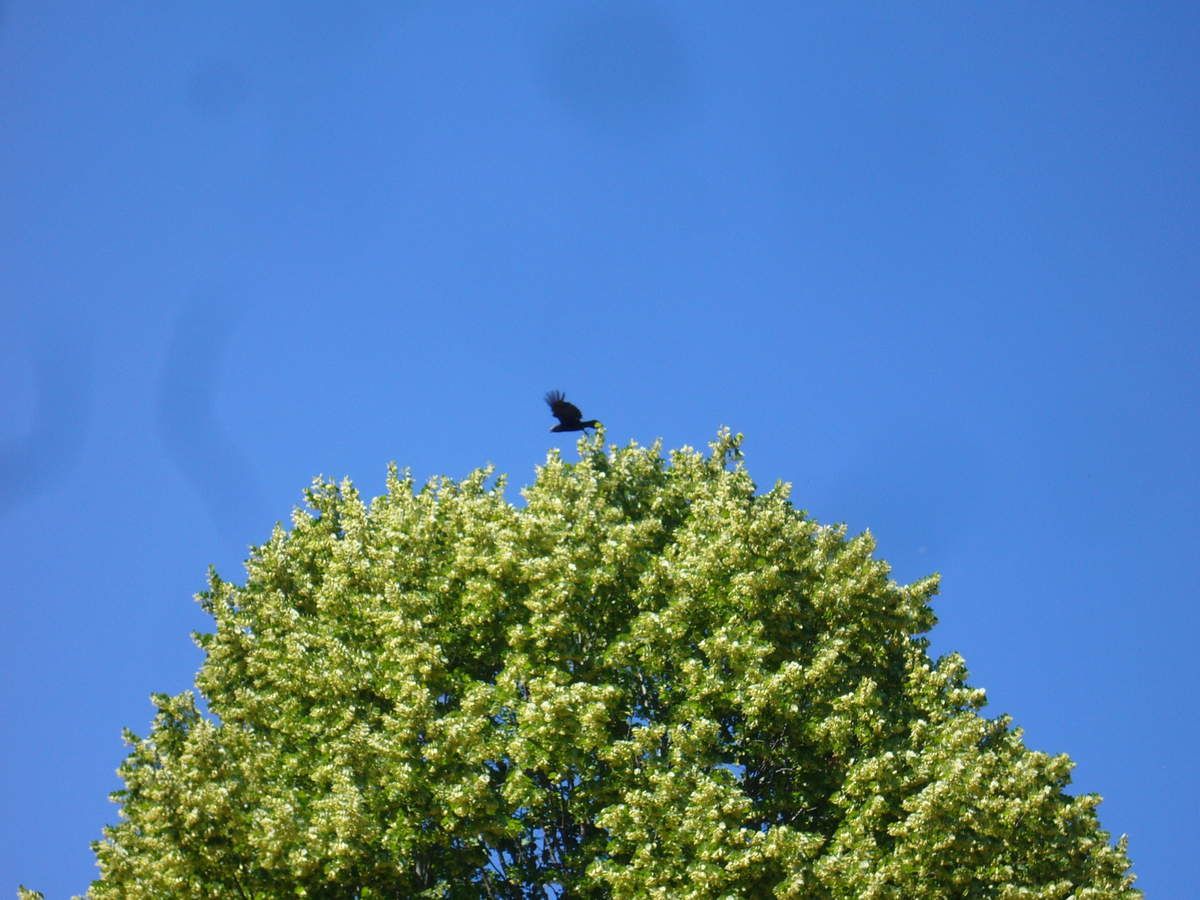 AUTOUR DE LA FÉRANDE - RANDOCOPS