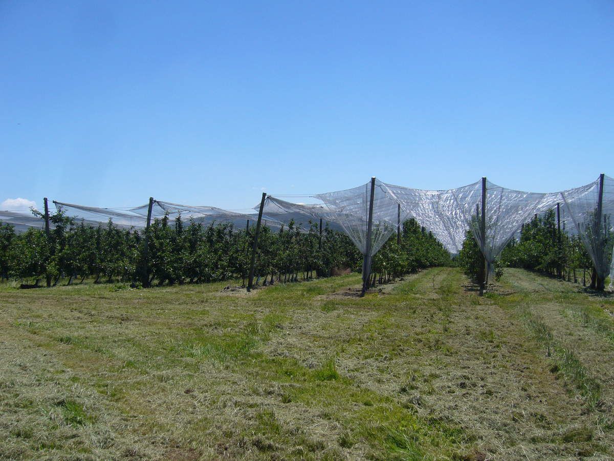 AUTOUR DE LA FÉRANDE - RANDOCOPS