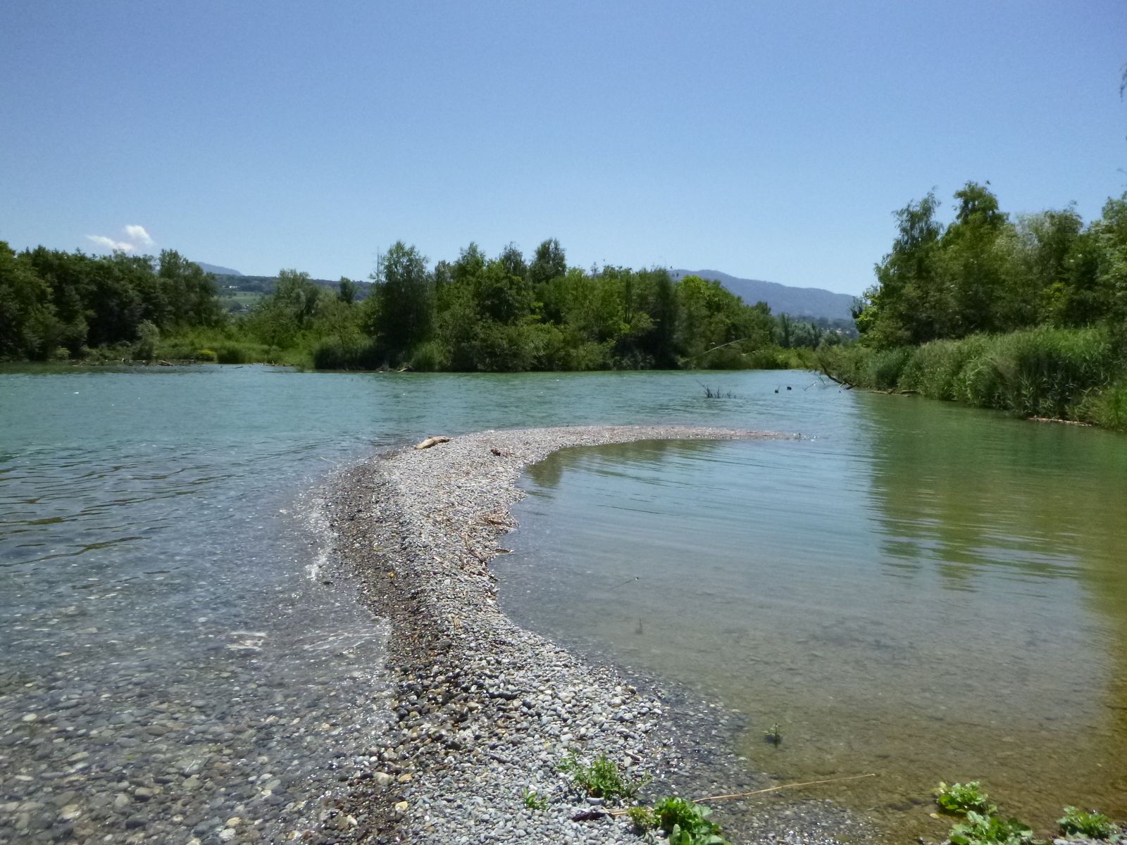 LE DELTA DE LA DRANSE - RANDOCOPS