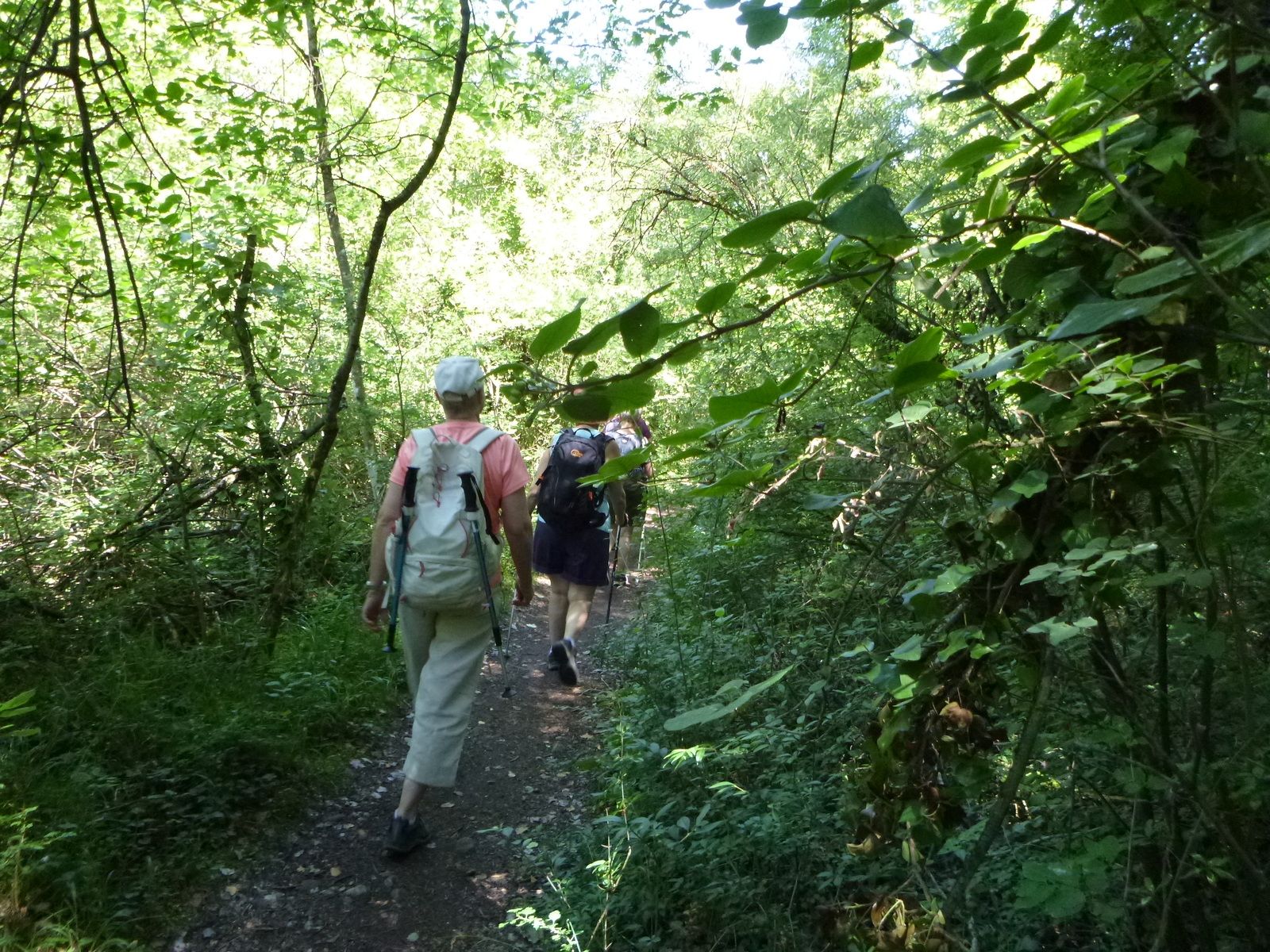 LE DELTA DE LA DRANSE - RANDOCOPS