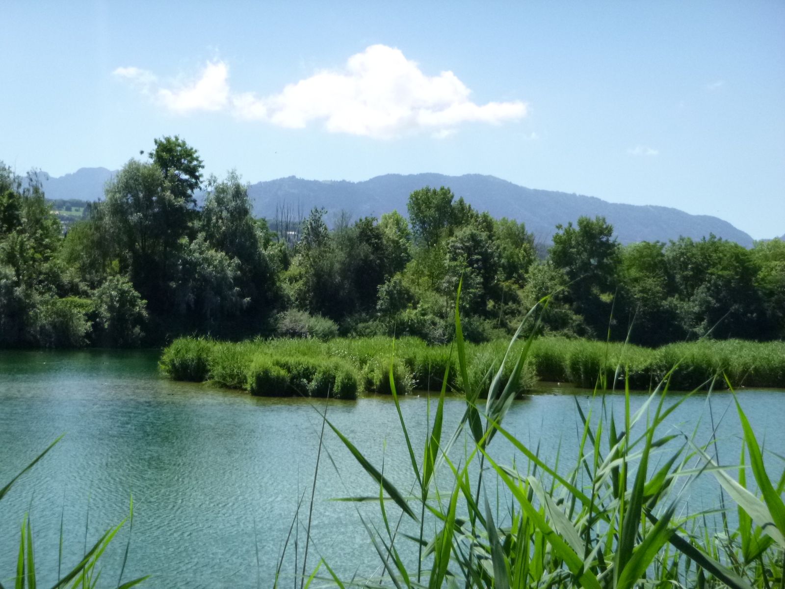 LE DELTA DE LA DRANSE - RANDOCOPS