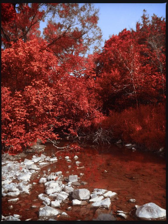 Jean-François Dupuis photographe - Activités professionnelles ...