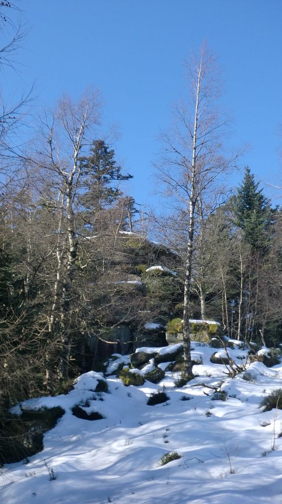 La barre rocheuse de la Langwand - Passion Escalade et Montagne