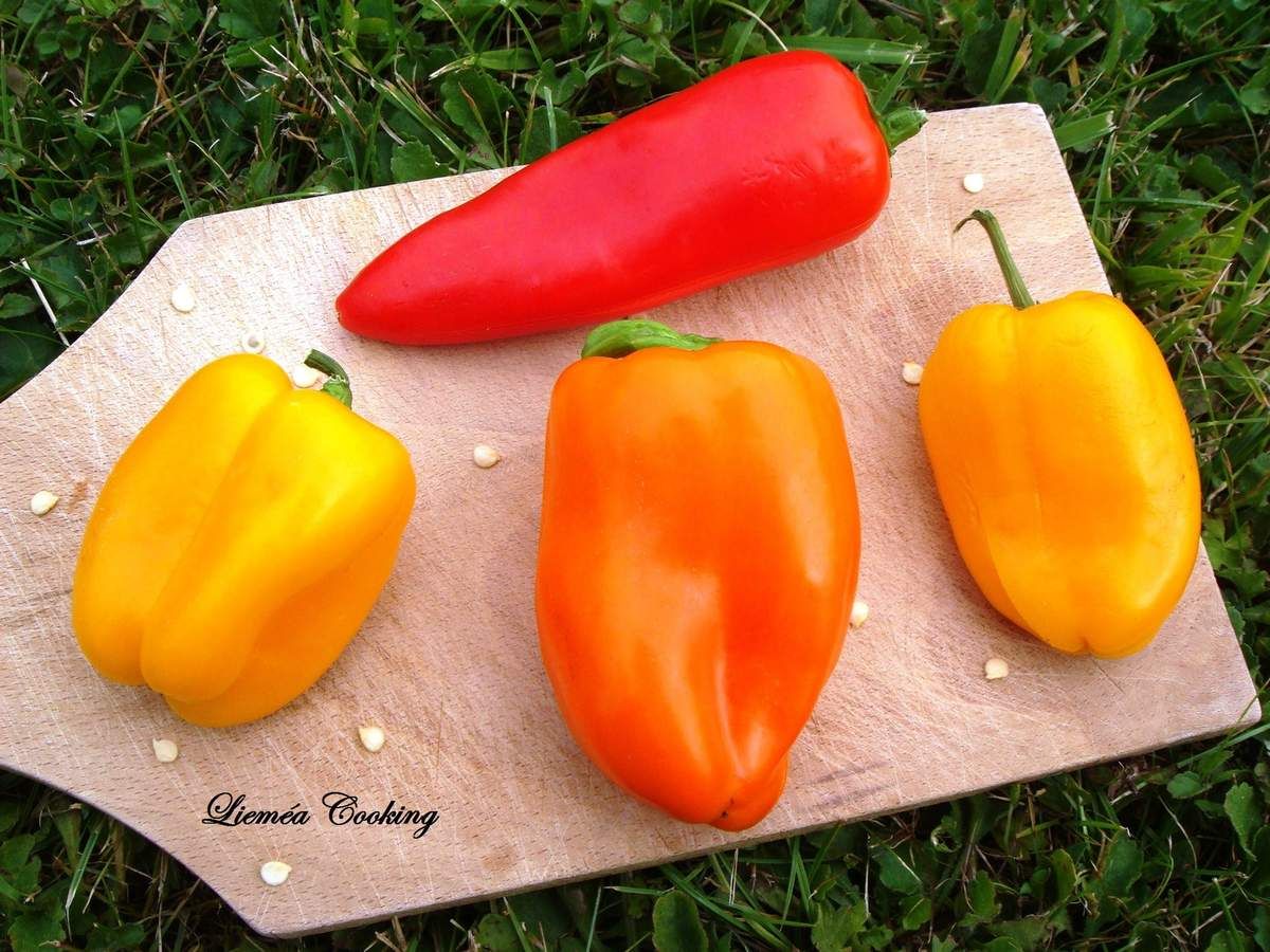 Mini poivrons à la ricotta et chorizo - Lieméa Cooking