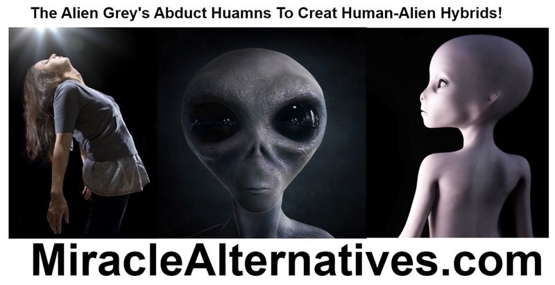 Alien-Human Hybrids Stroll Among Us! 10 Identification Qualities ...