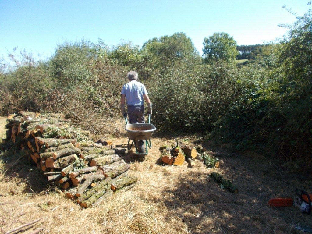 Etape défrichage ! - La Ferme Nunkui