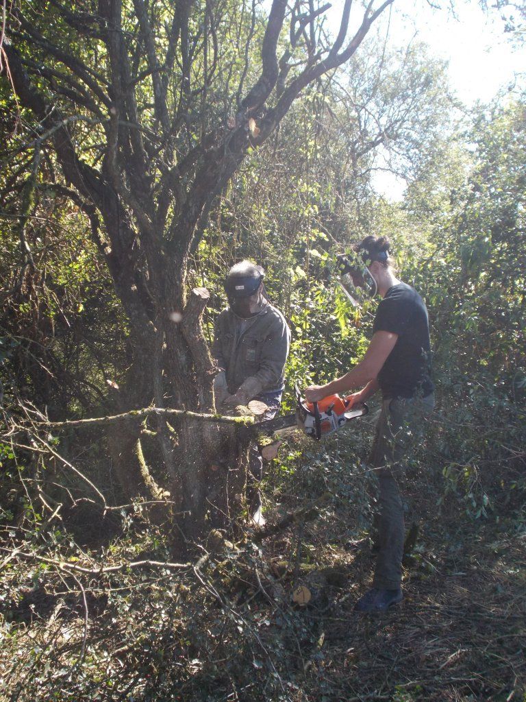Etape défrichage ! - La Ferme Nunkui