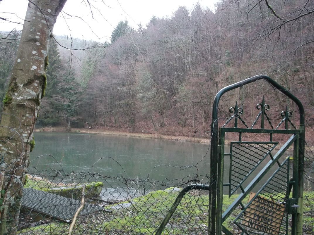 THANN : LE PETIT CIRCUIT WALDKAPELLE (R 210) - LTD RANDO 68