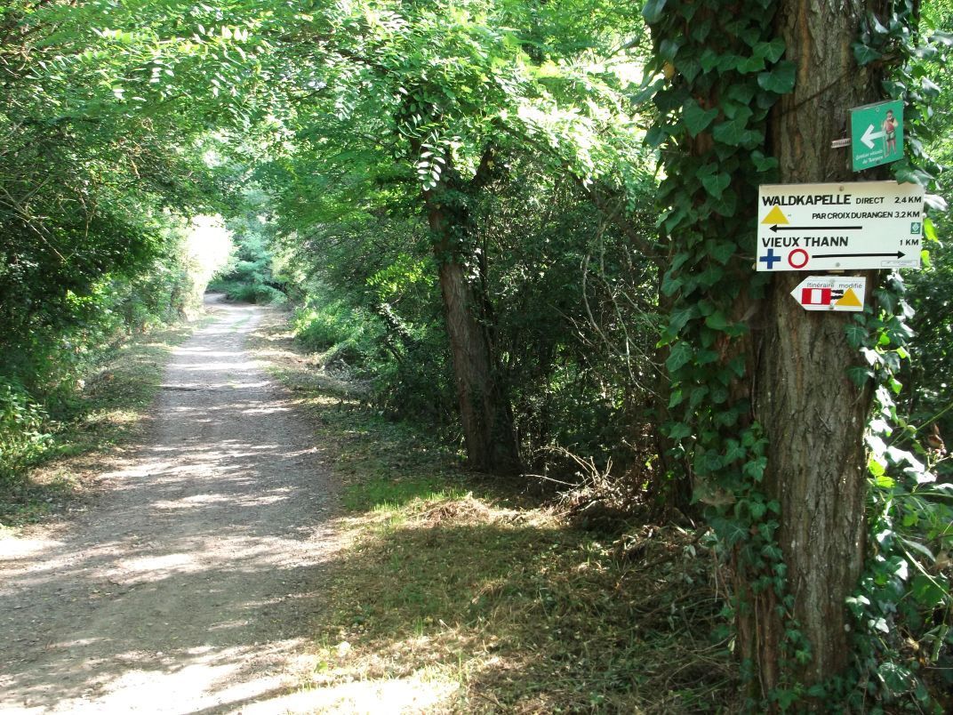 POUR BIEN COMMENCER LA RANDONNÉE : QUELQUES CONSEILS ET DEUX CIRCUITS ...