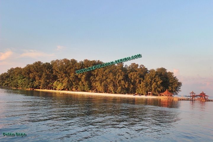 Pulau Sepa - Travel Wisata Tour Paket Pulau Seribu Jakarta