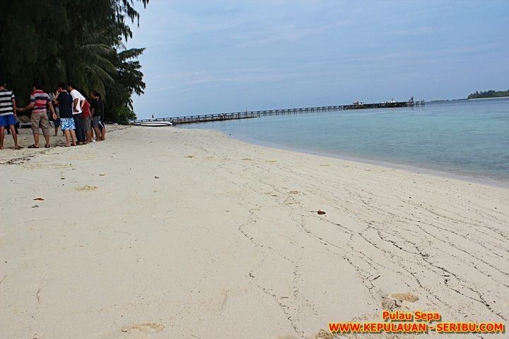 Perjalanan Wisata Ke Pulau Sepa - Travel Wisata Tour Paket Pulau Seribu ...
