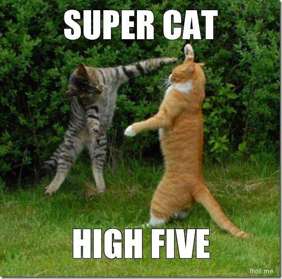 Natwo's Blog - My personal blog where I share information about a wide ...