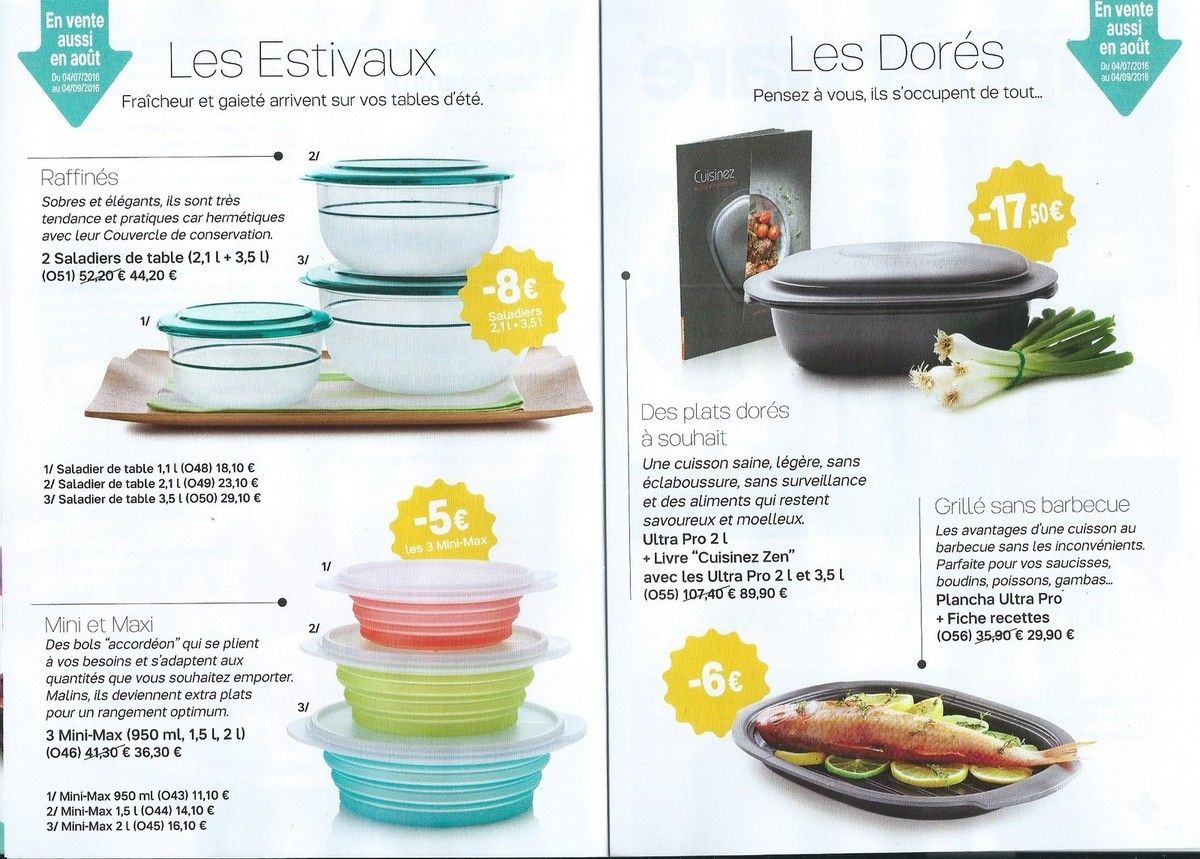 réunion tupperware - réunion tupperware