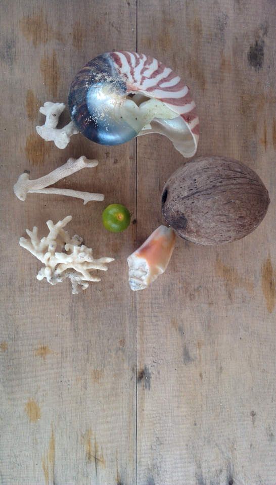 A la rencontre de Némo - îles Banyak - RoadtripindonesienmatthetClem ...