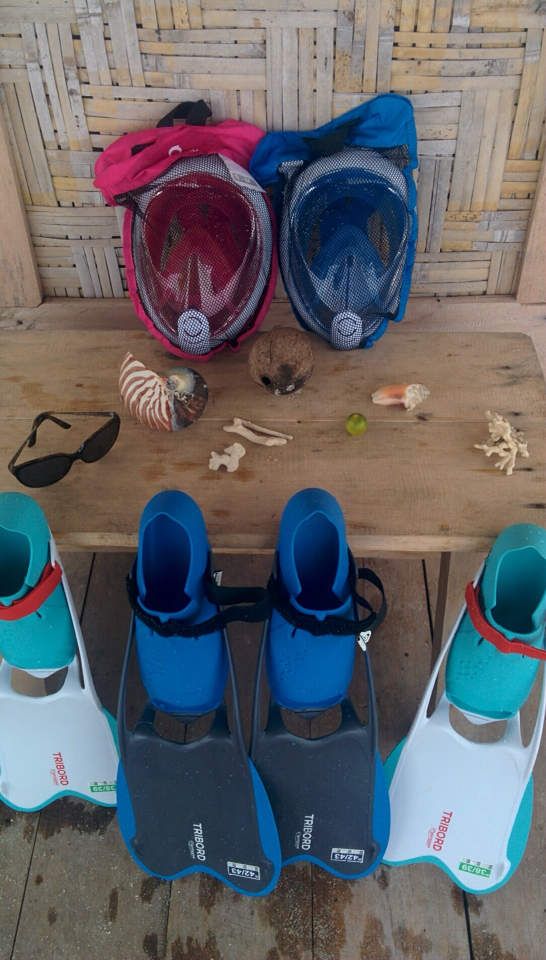 A la rencontre de Némo - îles Banyak - RoadtripindonesienmatthetClem ...