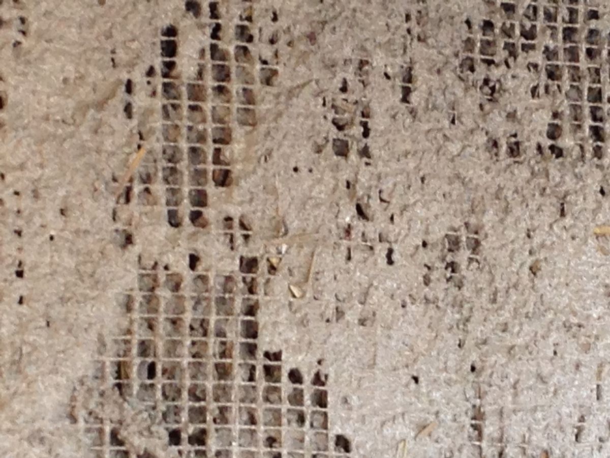 Les enduits - Une maison paille à Lomontot