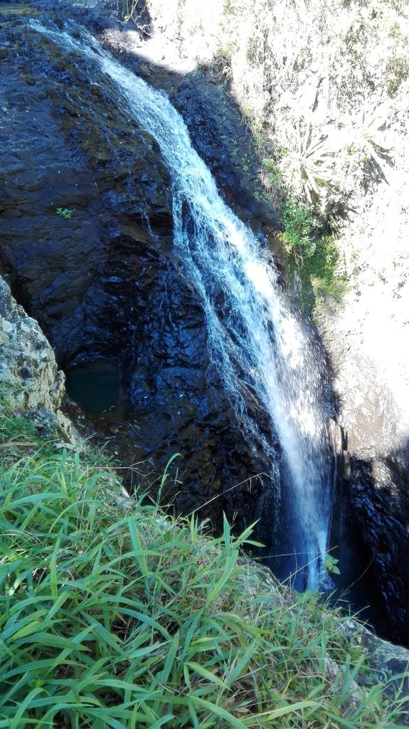 Parc National de Springbrook - Mon échange en Australie