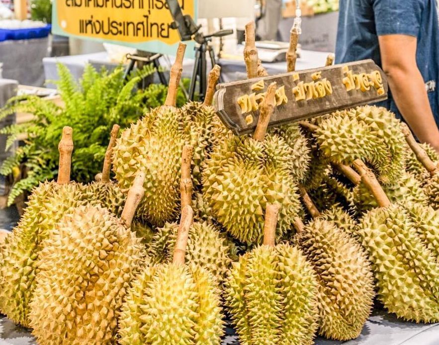 Le retour de la saison des durians - Fruits de saison (19-08) - Noy et ...