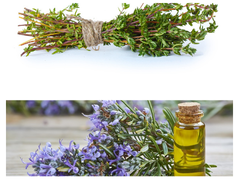 Lotion Thym & Romarin "Peau parfaite" "Bio" - Cosmétique beauté