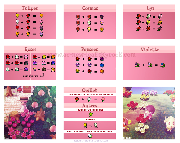 Acnl - Les hybrides - - Le Blog D'une Gameuse
