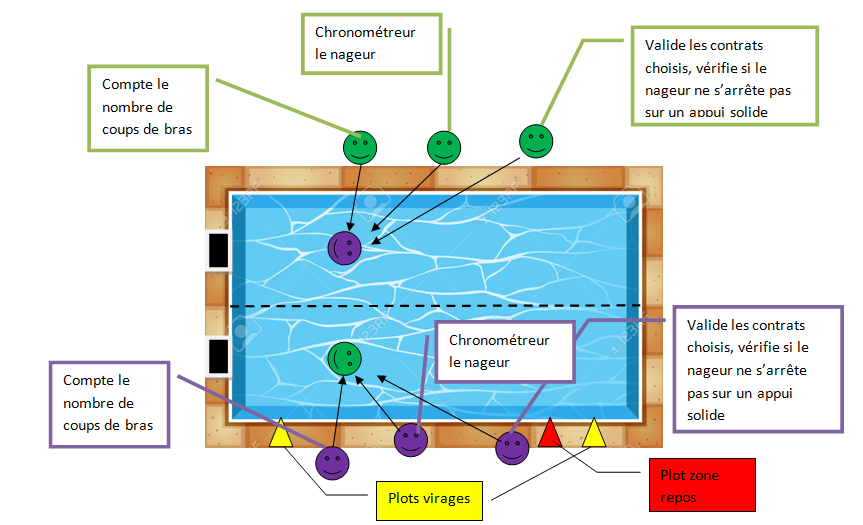 Situation complexe en natation de vitesse pour un 2ème cycle - 1000-et ...