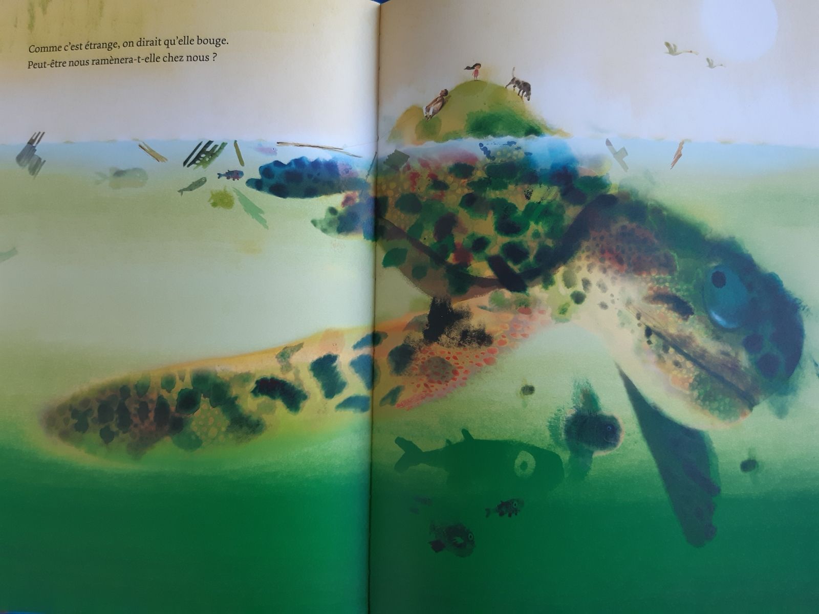 Mon île de Mark Janssen - Maman Fouine