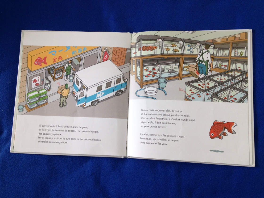 Lecture : Le poisson rouge de Nanami - Maman Fouine