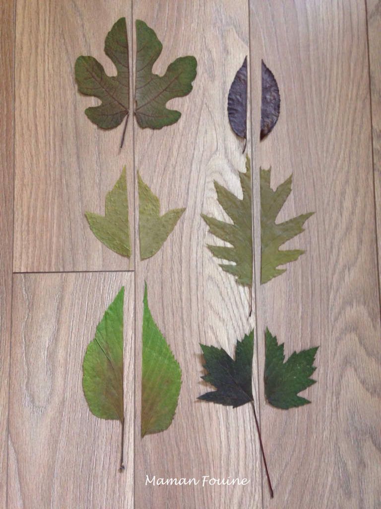 Puzzles de feuilles - Maman Fouine