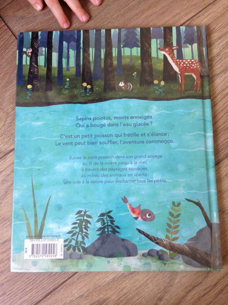 Lecture coup de cœur : Le fabuleux voyage du petit poisson - Maman Fouine