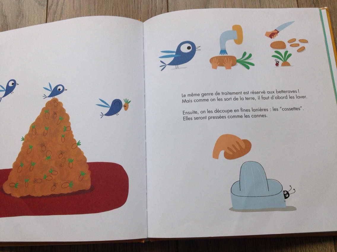 La collection Je sais ce que je mange, des Editions du Ricochet - Maman ...