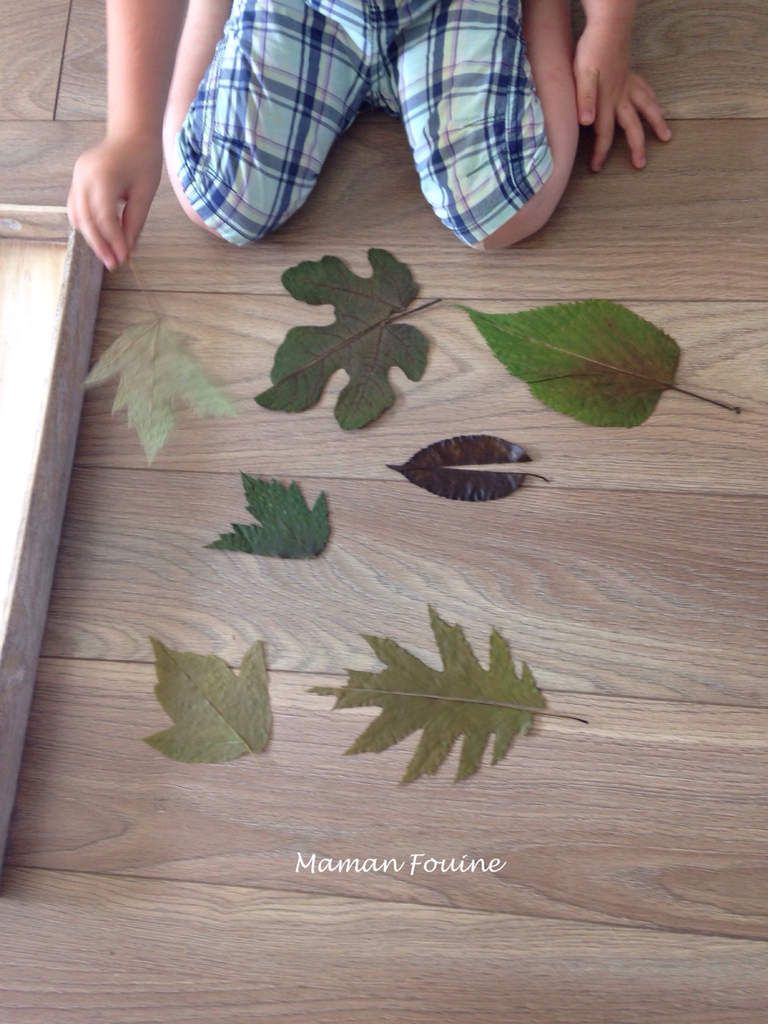 Puzzles de feuilles - Maman Fouine