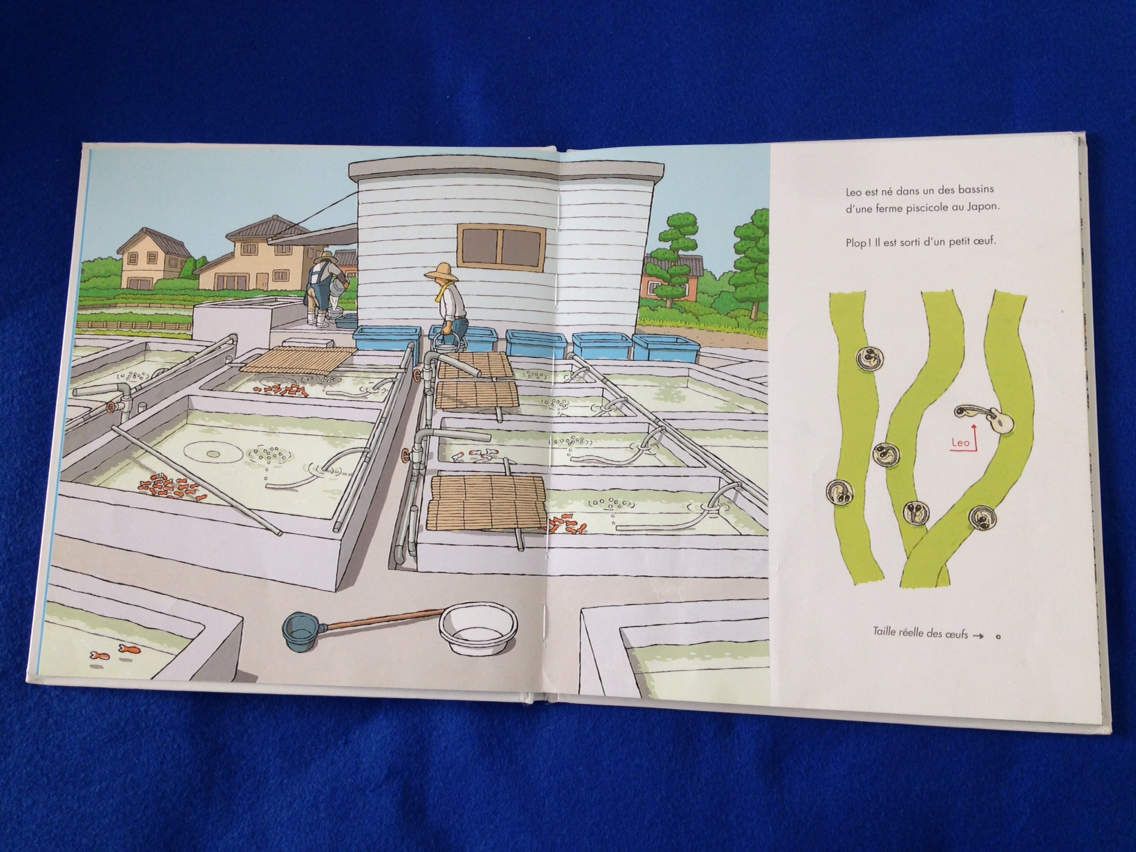 Lecture : Le poisson rouge de Nanami - Maman Fouine