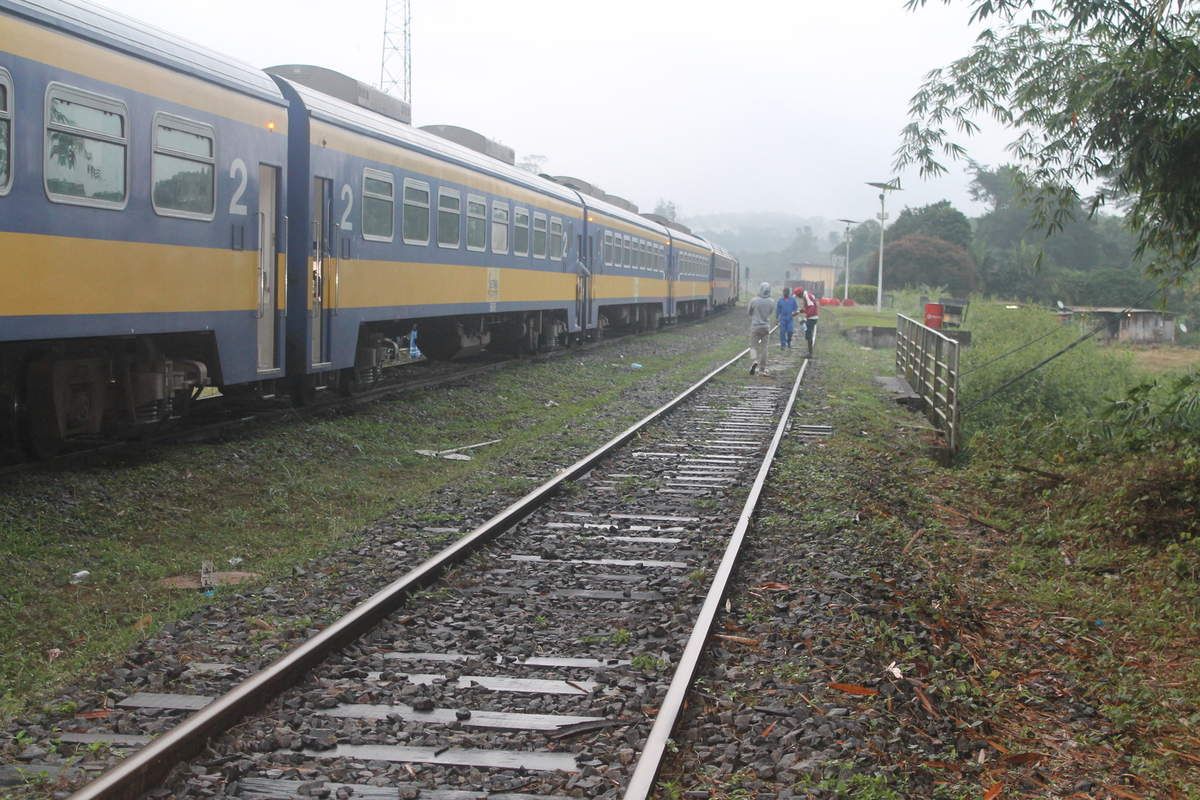 Le Transgabonais, Une flèche jaune dans la forêt vierge - Gabon, Une ...
