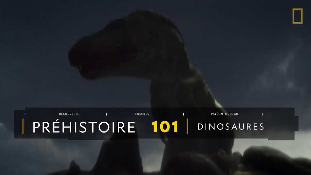Tout comprendre sur : L'évolution des dinosaures - Les Infos Videos