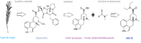 Partie II :Le LSD (présentation) - Travaux personnels encadrés : La Drogue