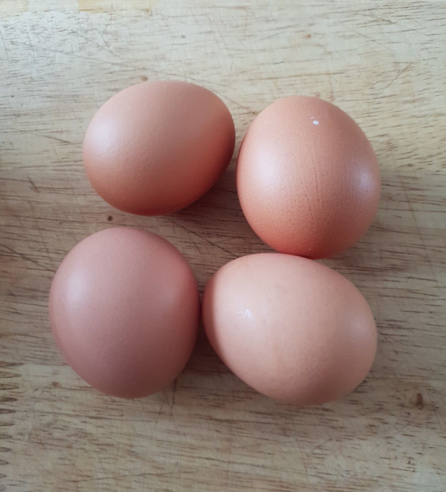 Mon Pudding tout chocolat - Cuisinez avec flo