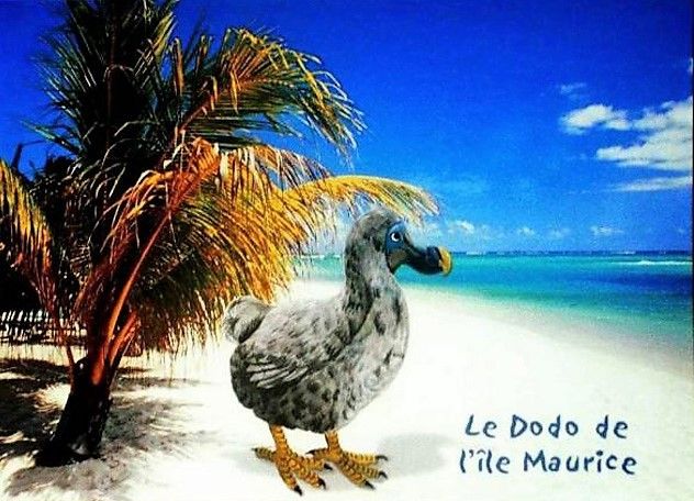 Le dodo dodu. Poème pour les enfants. - poèmes aujourd'hui