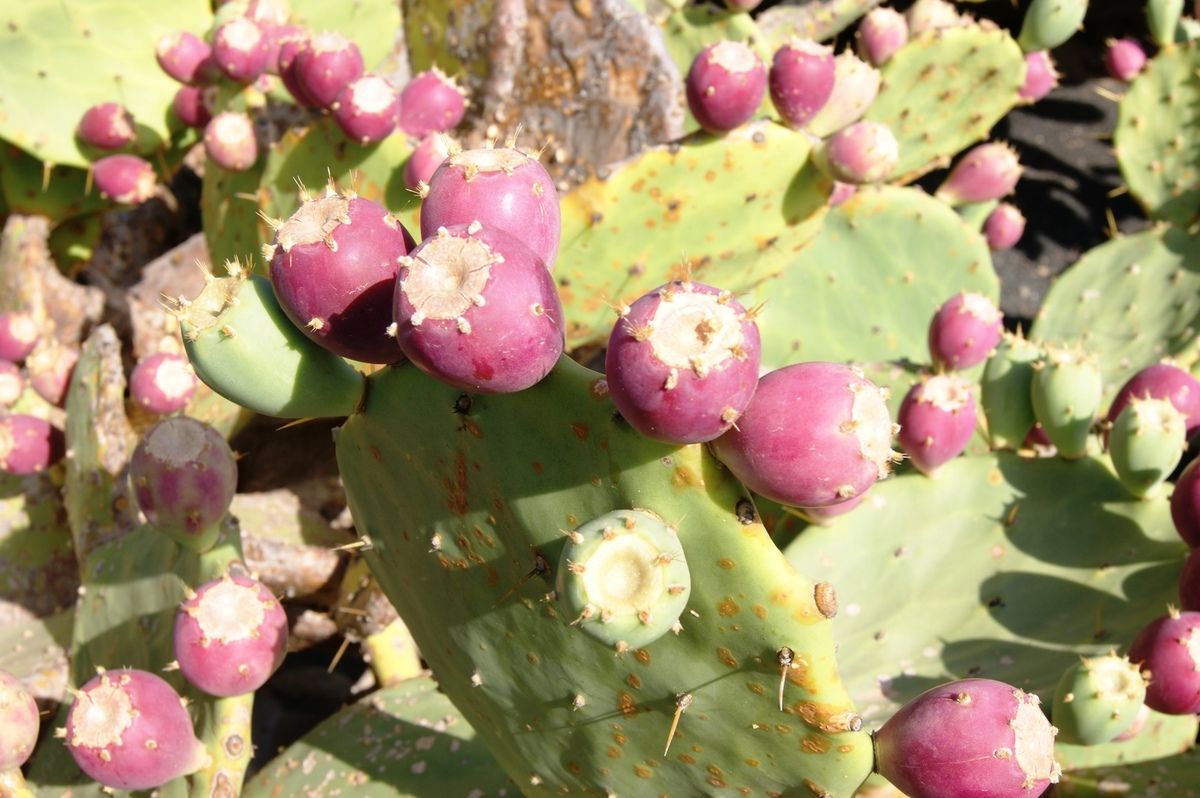 Lot de consolation! - coeur-de-nos-voyages.over-blog.com