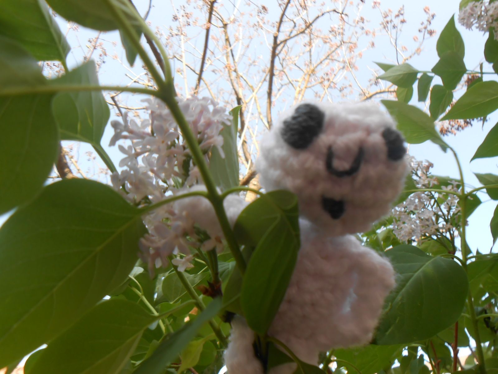 Sauvons les Kodamas ! Protégeons la forêt ! - Le Terrier de Souricette