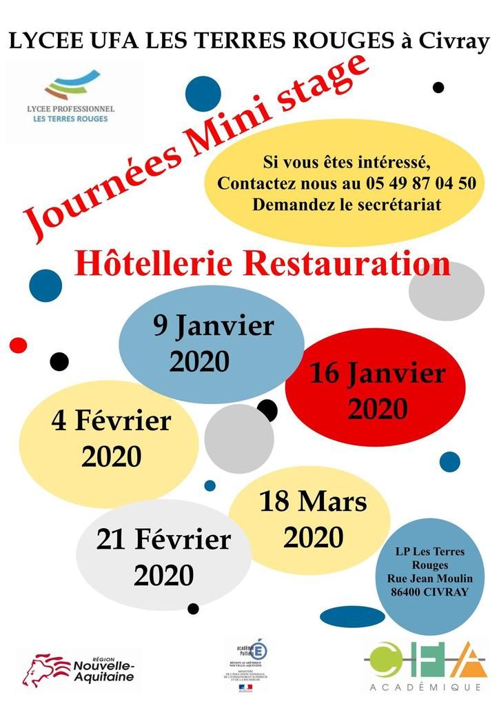 Mini stage lycée terre rouge civray - Technologie college Rabelais ...