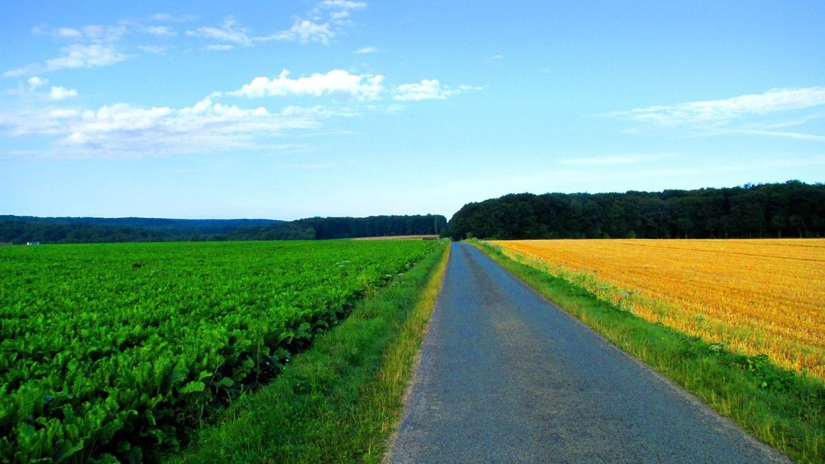 Routes Forestières en forêt de Retz - en forêt de Retz