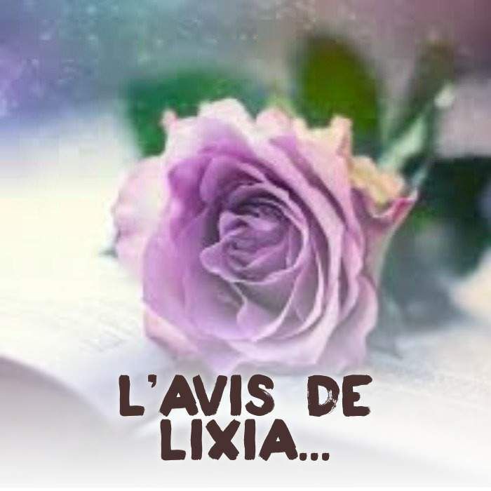 La chronique de Lixia: Sexy Deal, le plan idéal... ou presque Volume 1 ...