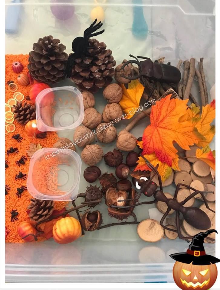 BAC SENSORIEL THEME AUTOMNE - DIY BAC SENSORIEL - DIY AUTOMNE - DIY ...