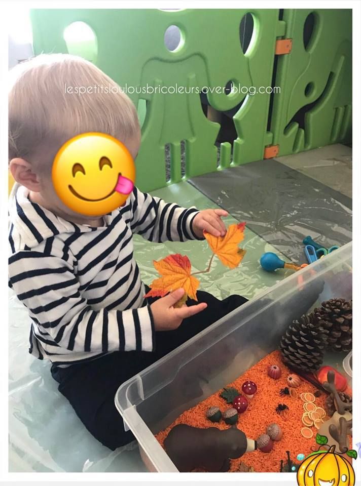 BAC SENSORIEL THEME AUTOMNE - DIY BAC SENSORIEL - DIY AUTOMNE - DIY ...