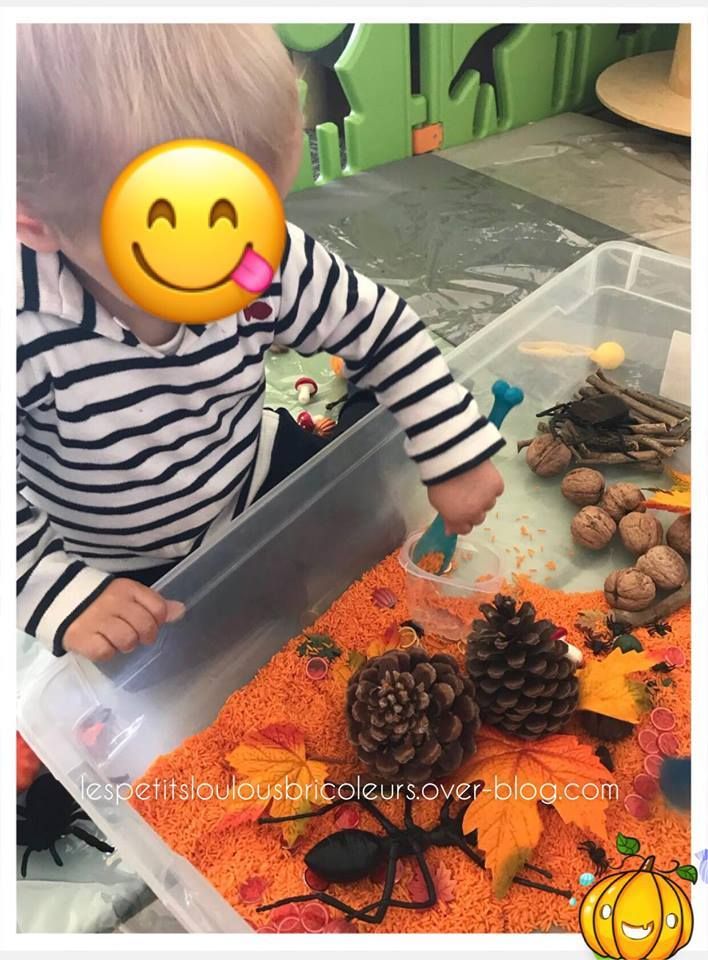 BAC SENSORIEL THEME AUTOMNE - DIY BAC SENSORIEL - DIY AUTOMNE - DIY ...