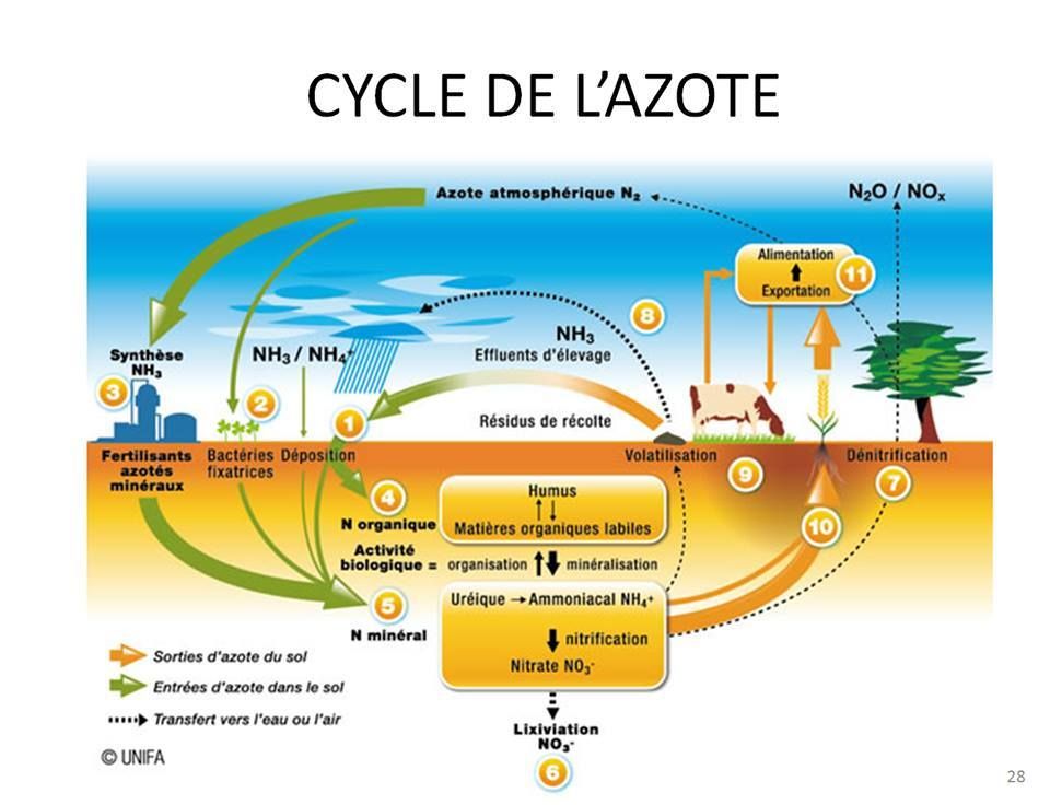 LES CHRONIQUES DES SOLS VIVANTS # 2 COMPRENDRE ET CONNAITRE SON SOL ...