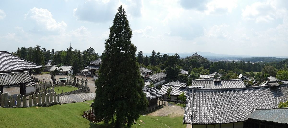 Voyage au Japon - Nara - dix petits doigts