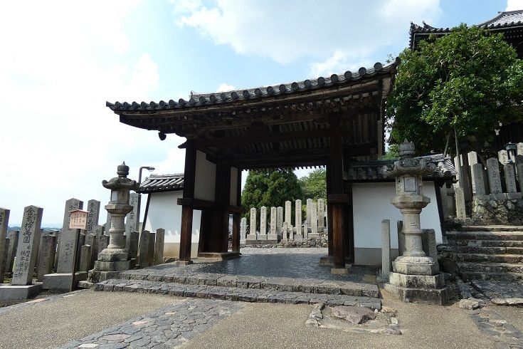Voyage au Japon - Nara - dix petits doigts