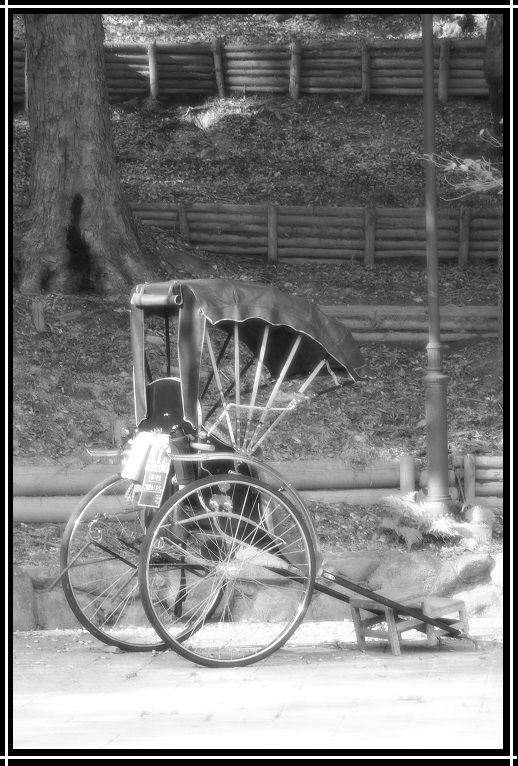 Photo : le pousse pousse de Nara - dix petits doigts